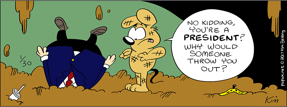 President - Picpak Dog