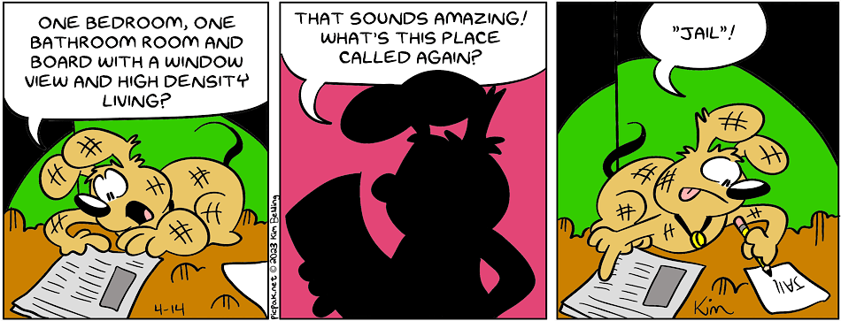 High Living - Picpak Dog